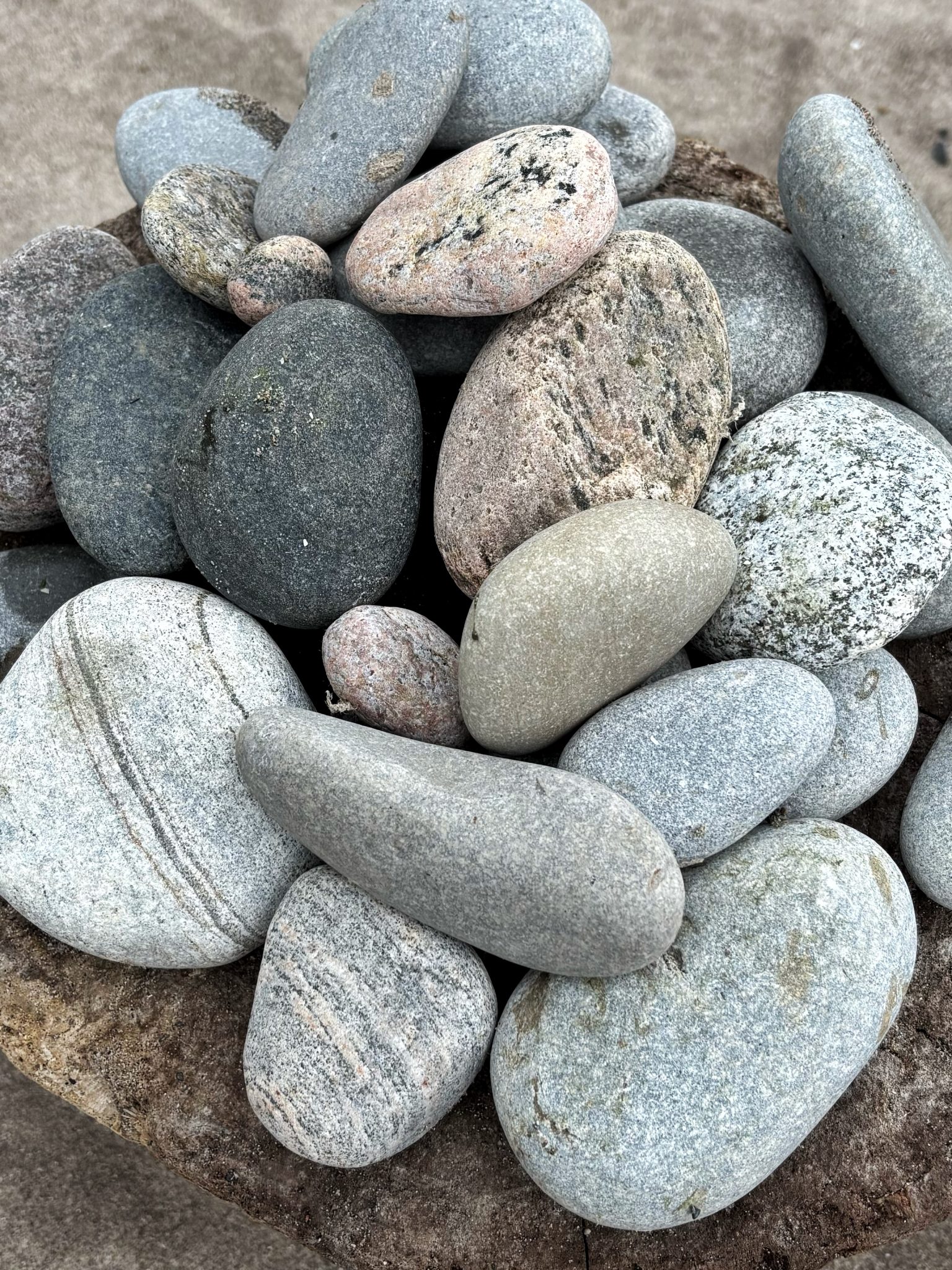 Microadventure # 10 - Briston Maroney in Toronto - Curious Crone