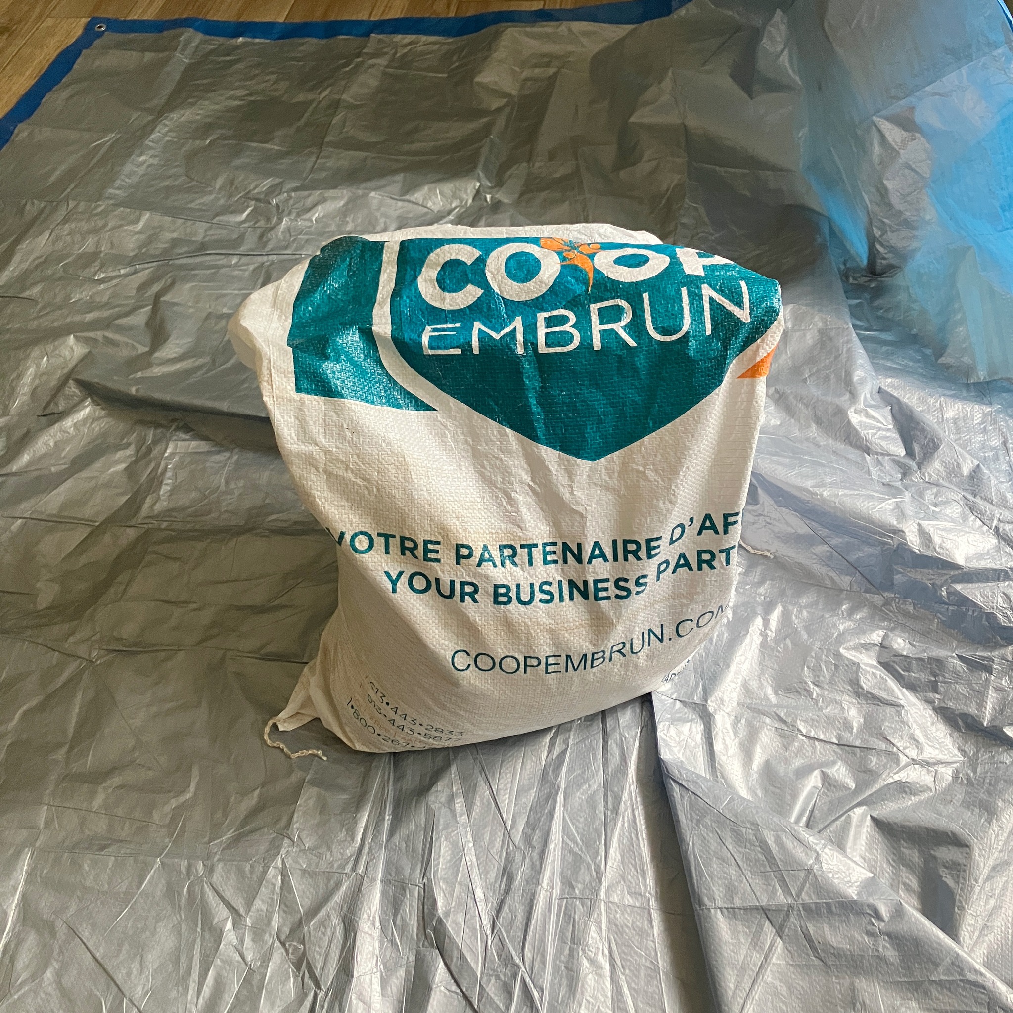 Skirting and scouring a sheep fleece for the first time - Curious Crone