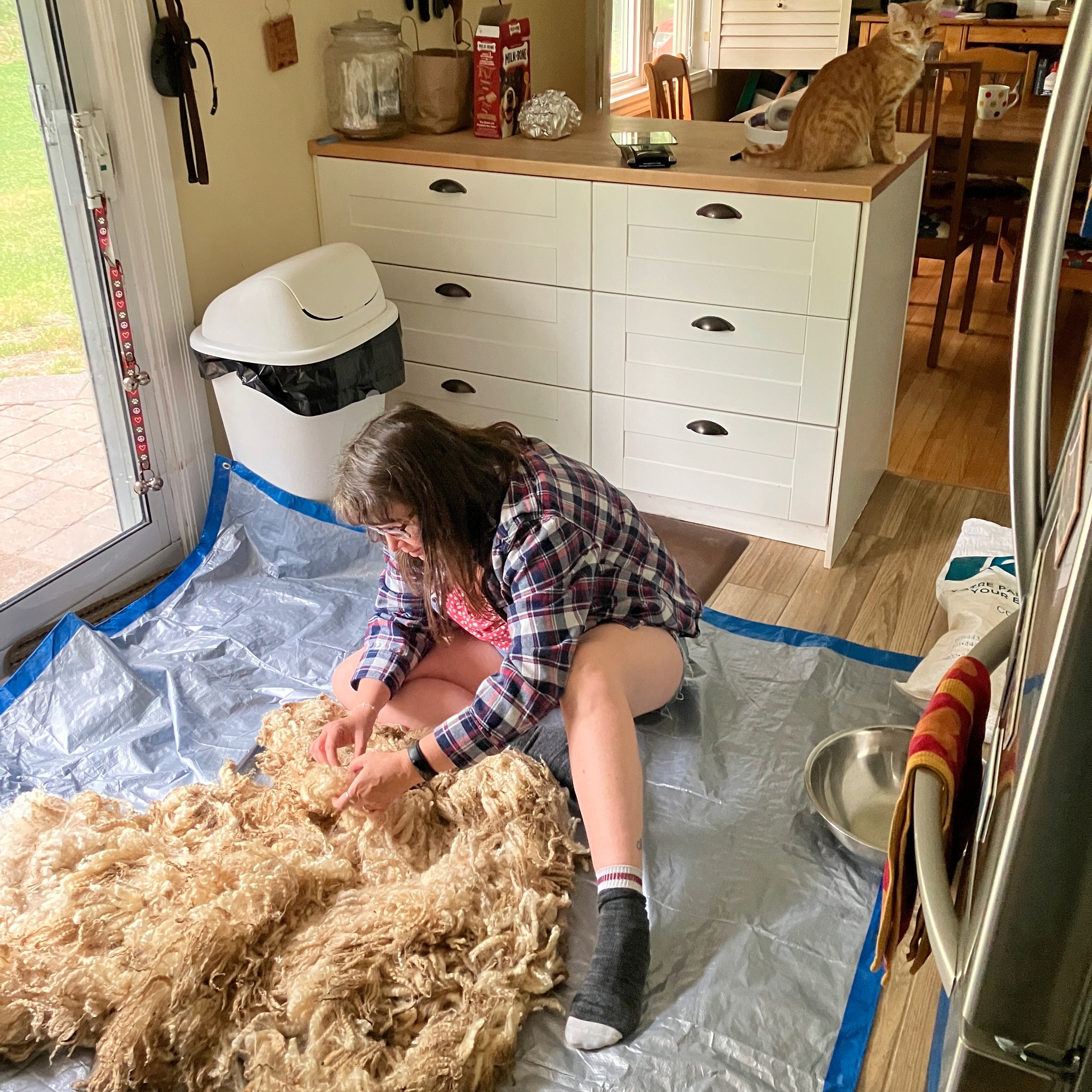 Skirting and scouring a sheep fleece for the first time - Curious Crone