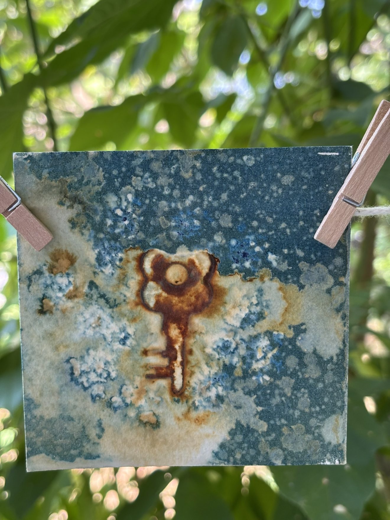 The 9 keys wet & dry cyanotype experiment - Curious Crone